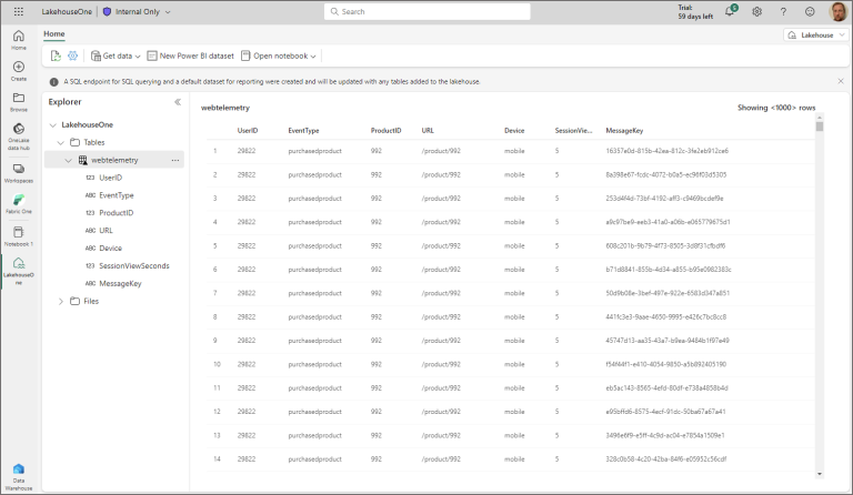 Getting Started with Microsoft Fabric: Enabling 60-Day Trial and ...